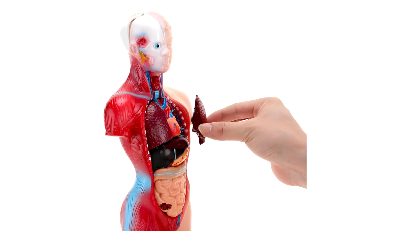 Home - Bloom Medical